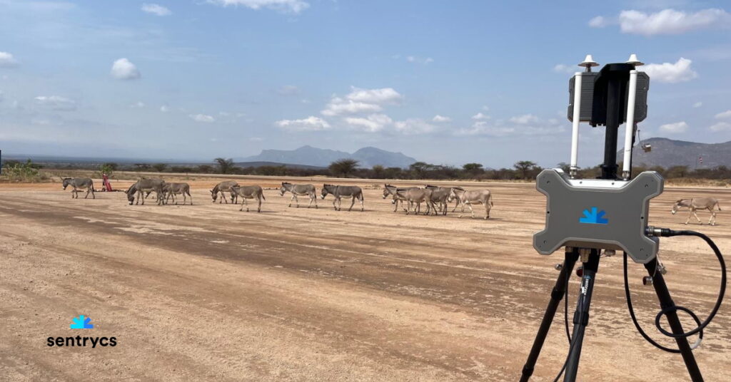 Drohnenabwehr mit Sentrycs in Afrika
